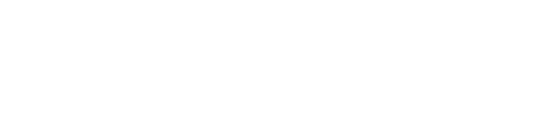 Windows Master Developer » TrainSec